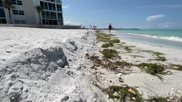 Restoration to bring up to 300,000 cubic yards of sand to Lido Beach ...
