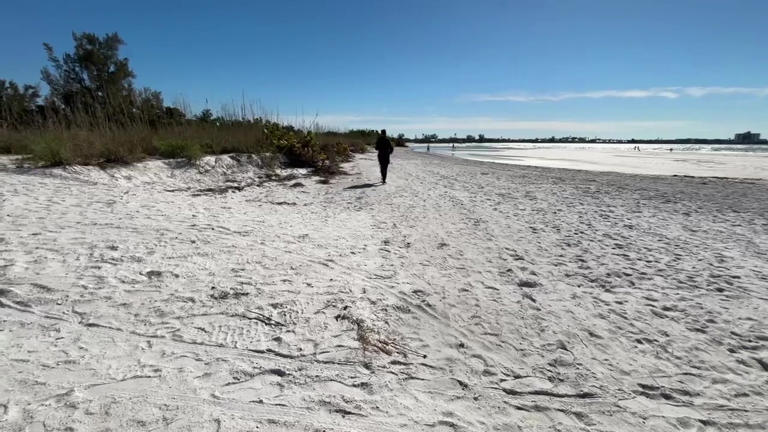 Restoration to bring up to 300,000 cubic yards of sand to Lido Beach ...