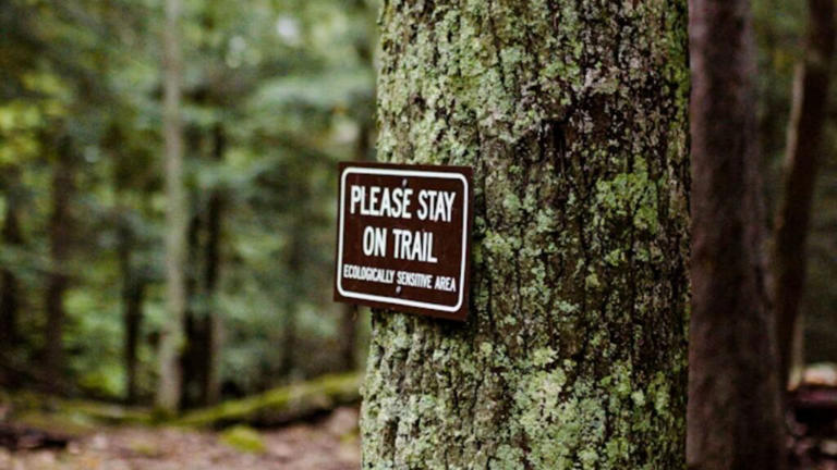 Hiker shares photo of tourist's dangerous behavior near a deadly drop ...