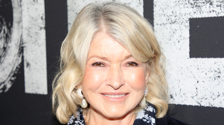 Martha Stewart's kitchen oven is as fancy as it is practical
