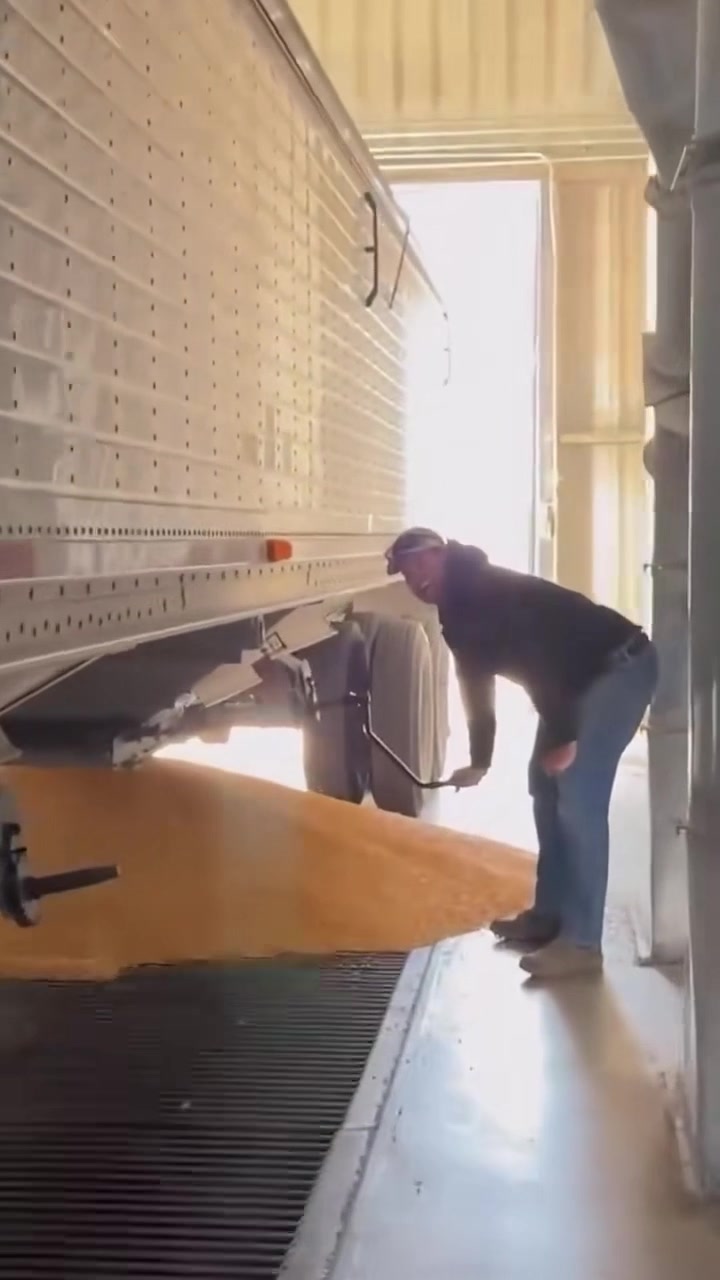 A goody from harvest time