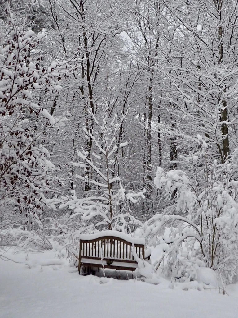 Cleanup underway after snow blankets southern New England