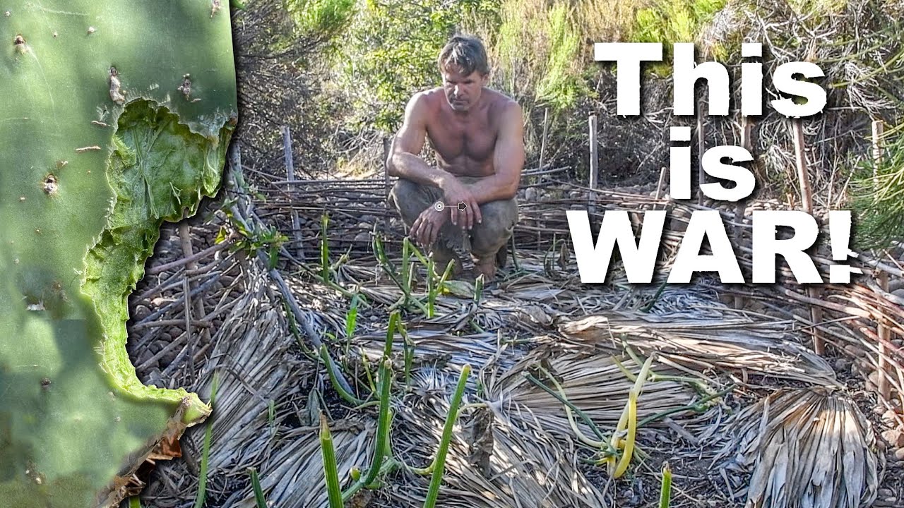Primitive gardening: Battle against varmints