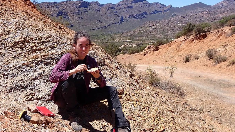 UCT study uncovers resilient fossil ecosystem that revived ocean life ...