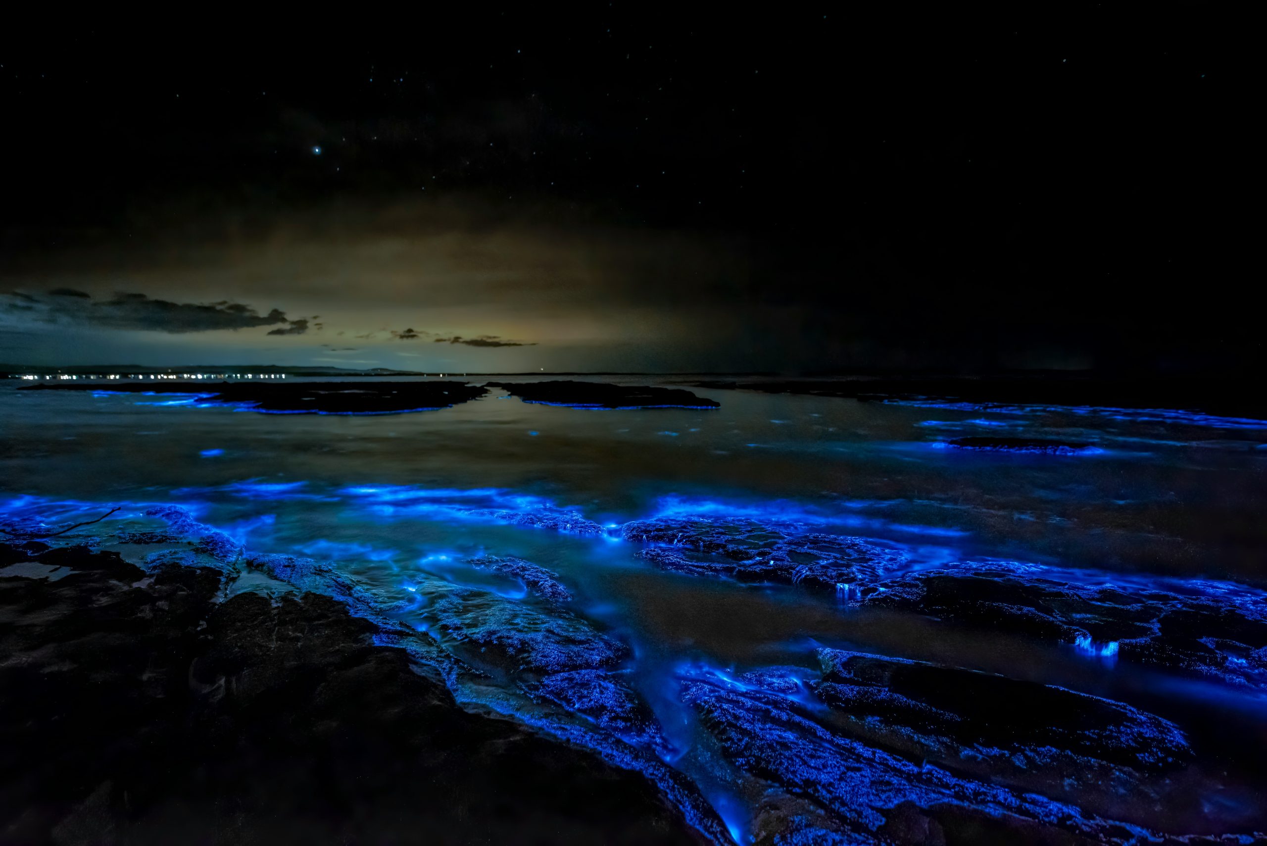 Places in the US to see glowing waves