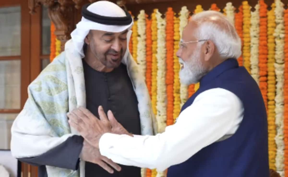 Carved wooden swing, pashmina shawls: PM Modi's gifts for UAE president