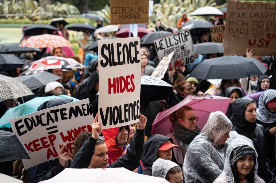 NY lawmakers propose domestic violence offender database