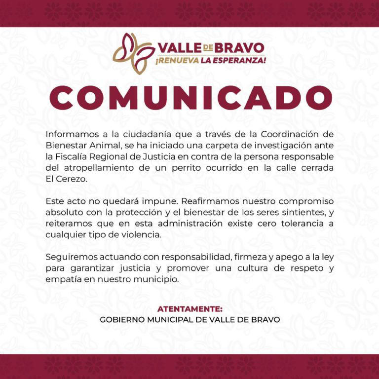 Justicia para Maya: captan a conductor que atropelló intencionalmente a ...