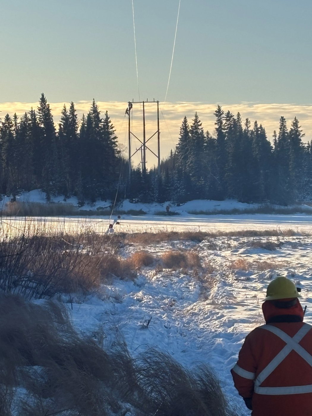 Firearms damage found near power line that failed, causing outage ...