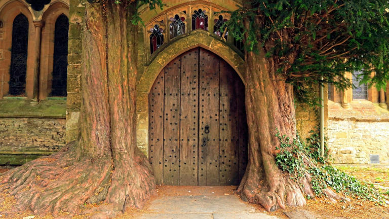 Best walks in the Cotswolds: Rolling hills, open meadows and ...