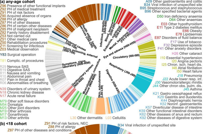 NHS patient records used to create first map of diseases linked to eczema