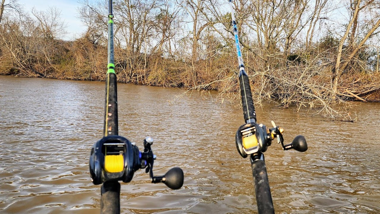 Spring fishing for giants: Record catch