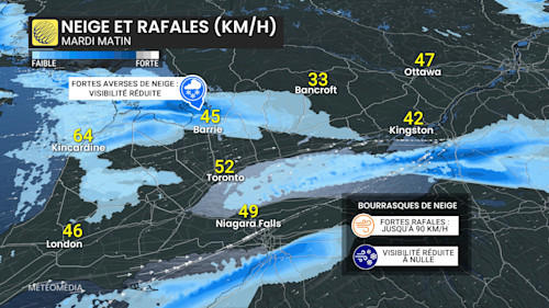 40 cm de neige : dangereuses conditions de blizzard dans cette région