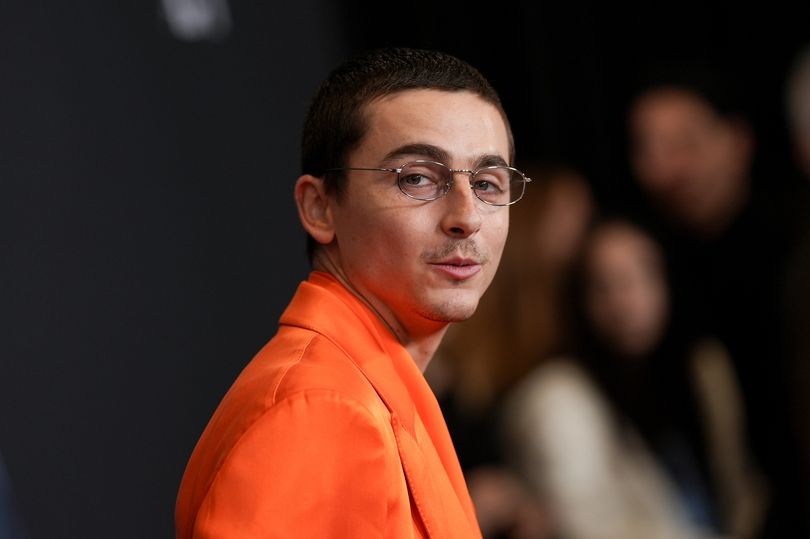 Timothée Chalamet looks completely unrecognizable in his debut TV role