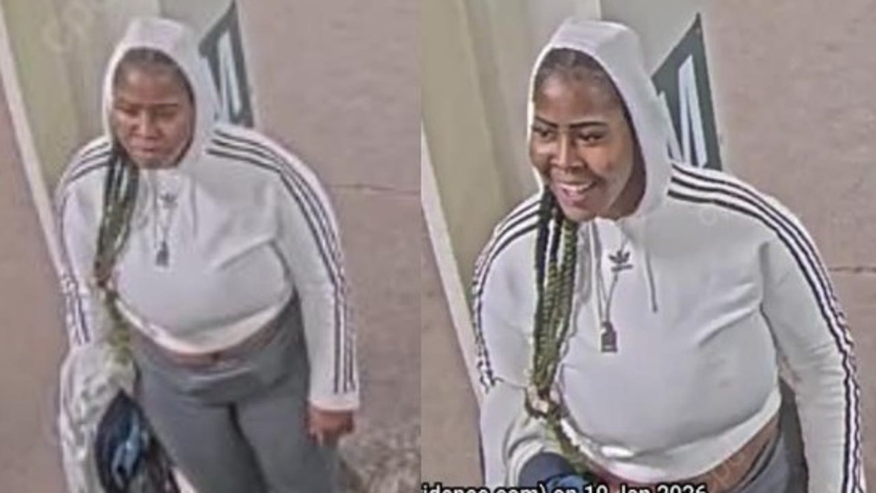 Woman accused of robbing, attacking CTA Red Line passenger sought by police