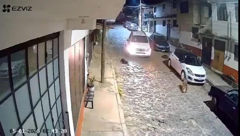 Justicia para Maya: captan a conductor que atropelló intencionalmente a ...