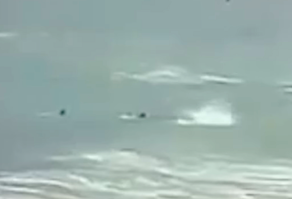 Shark attack caught on camera in Sydney, surfer 'fighting for his life ...