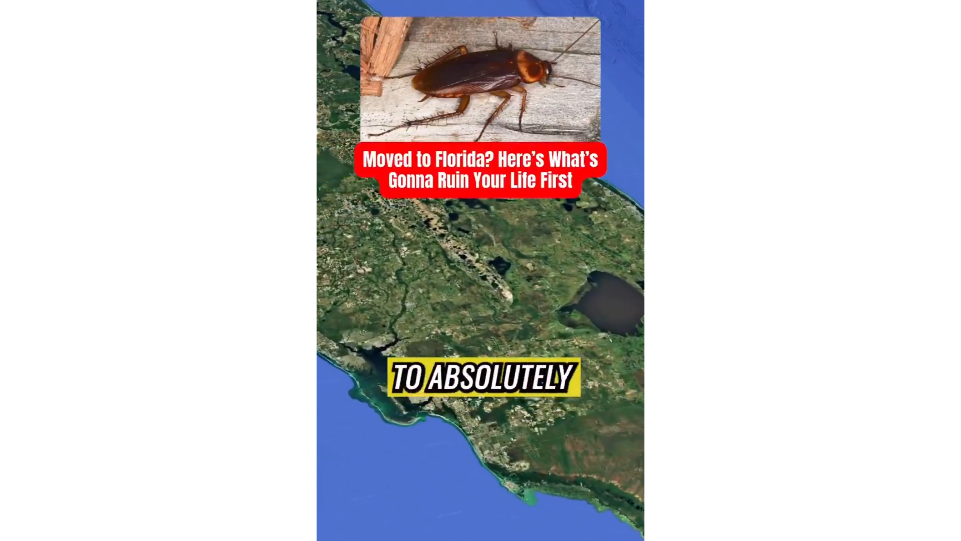 So you want to move to Florida? Here is what to expect 🤣