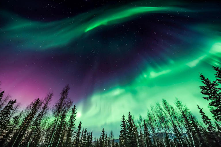How to watch the northern lights from these 24 states tonight