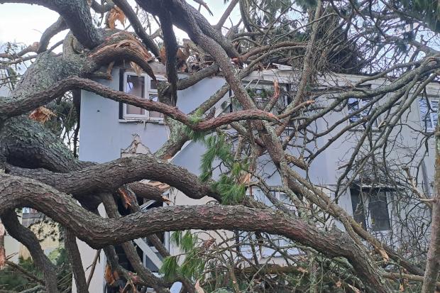 Council responds after family's home destroyed by falling tree in Storm ...