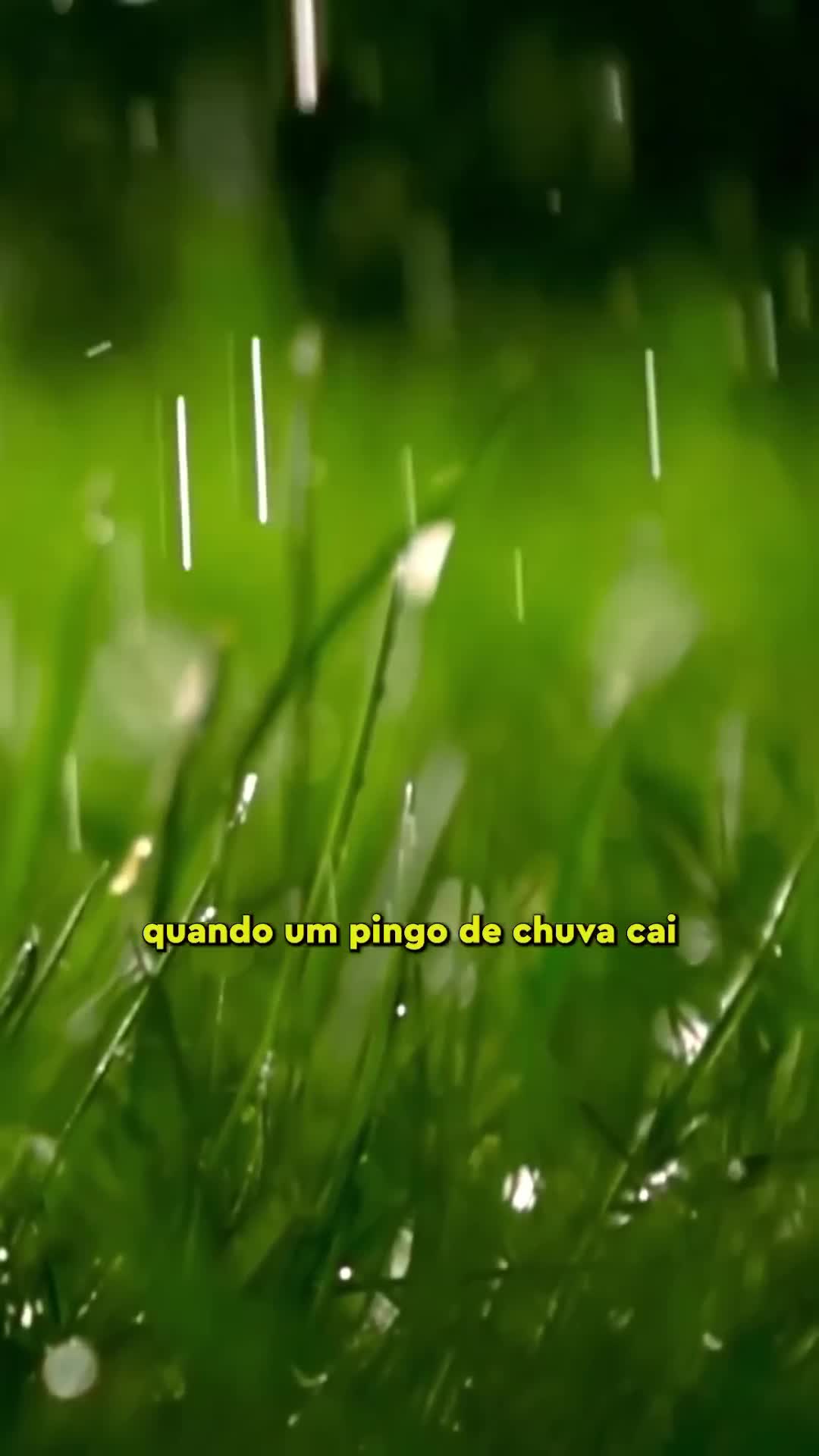 O melhor cheiro do mundo