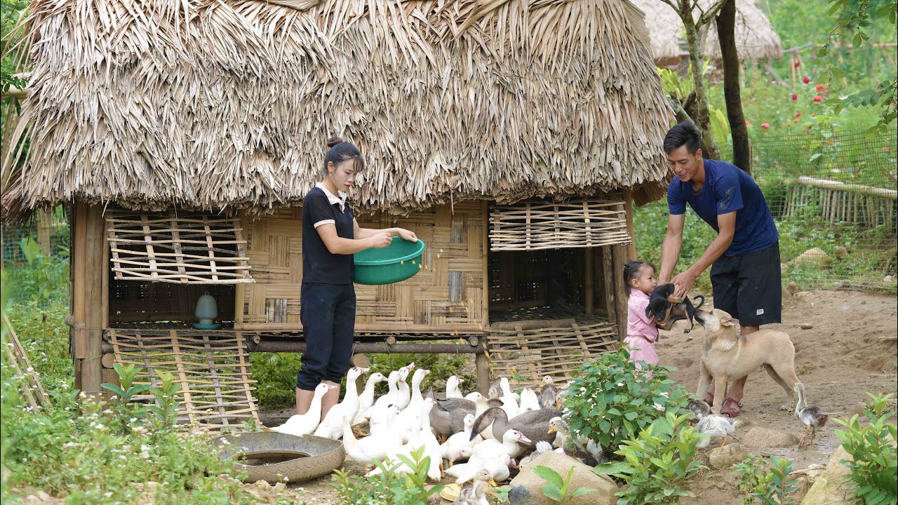 5 langkah mudah membangun kolam renang