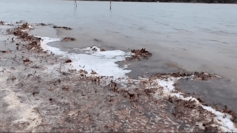 New interactive map reveals PFAS contamination in Michigan waters