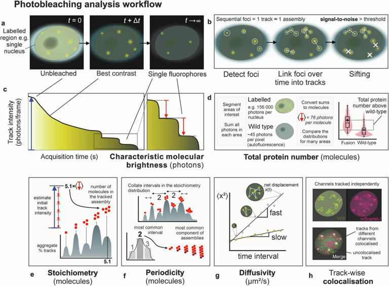 Scientists uncover hidden 'winter memory' inside plants