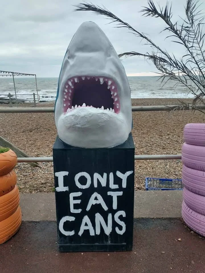 Garbage can enthusiast on mission to find best bins in world