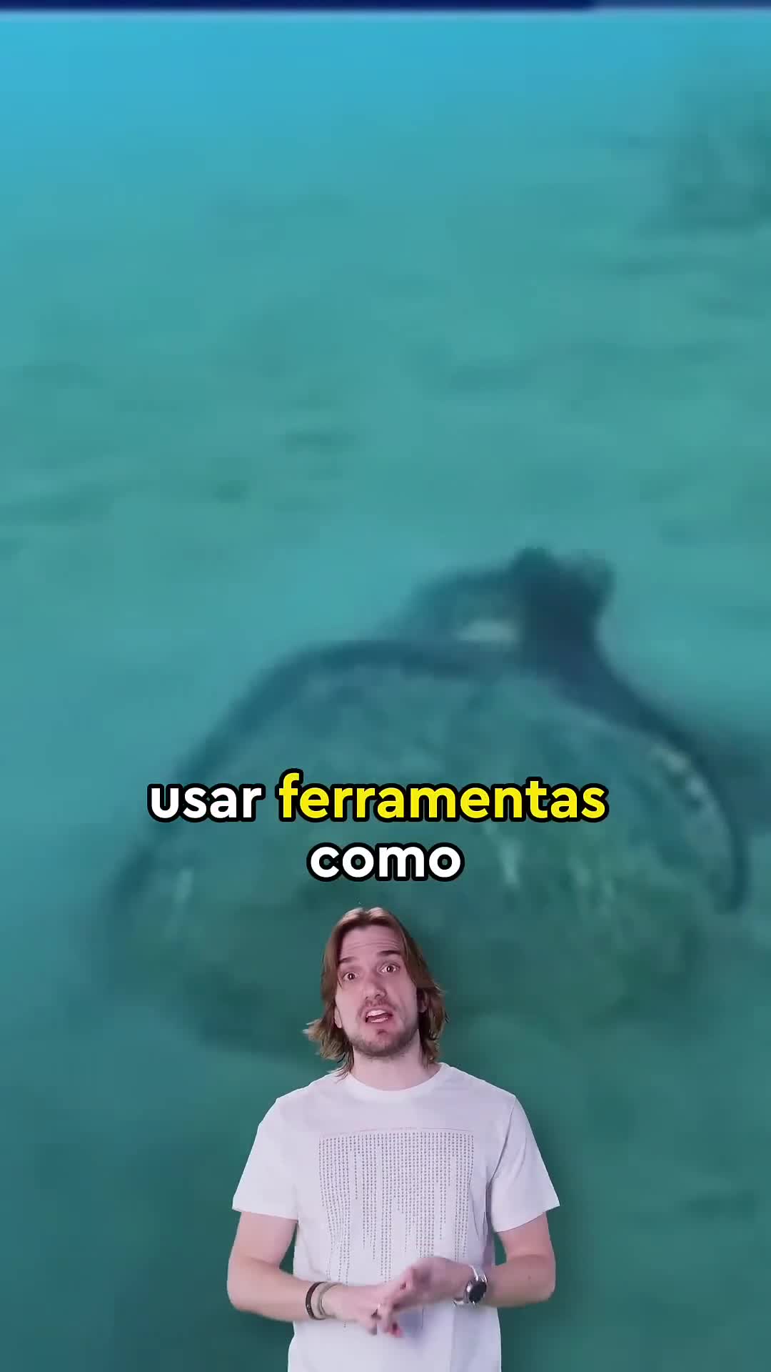 O polvo mais perigoso do mundo