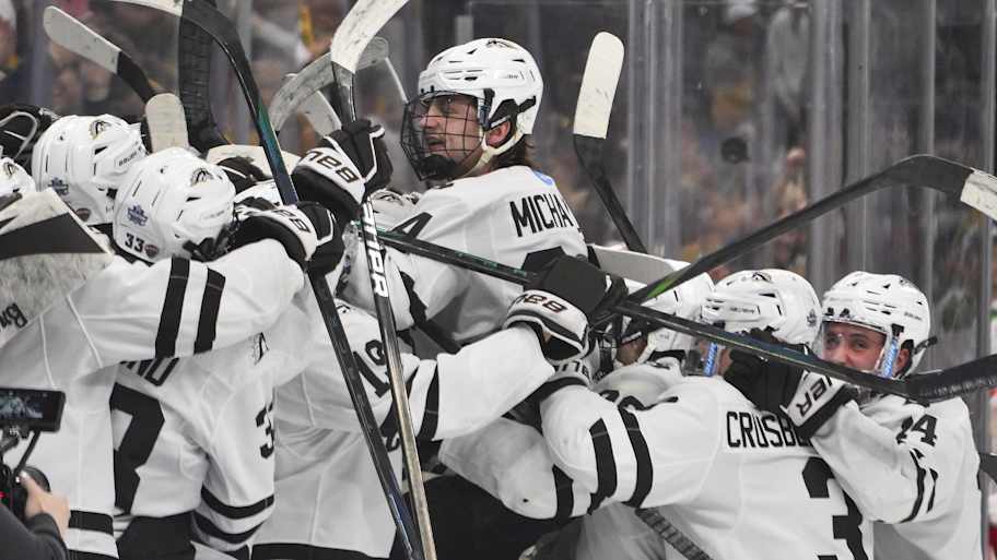 The state of Michigan again dominates college hockey rankings