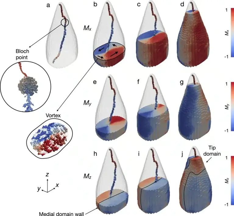 Scientists just found a 97-million-year magnetic fossil, and it points ...