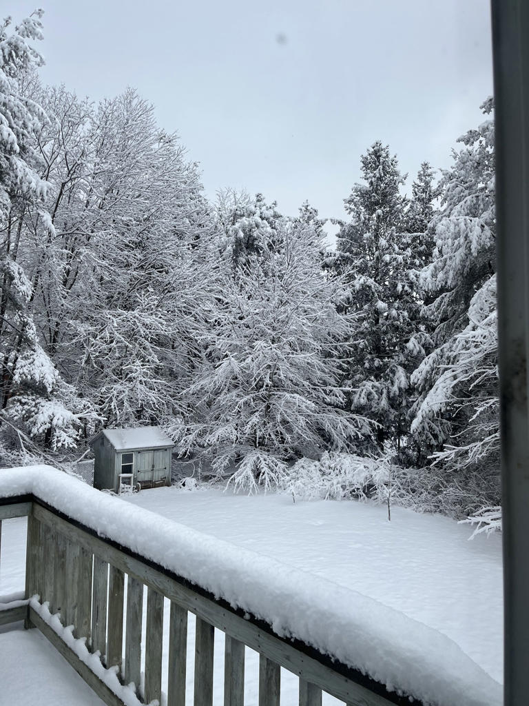 Cleanup underway after snow blankets southern New England