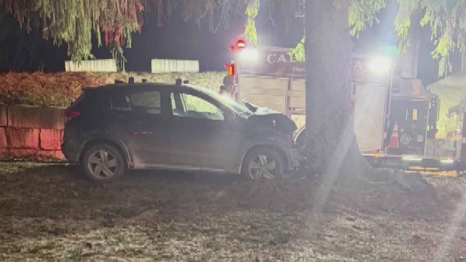 Man crashes into tree in Washington County