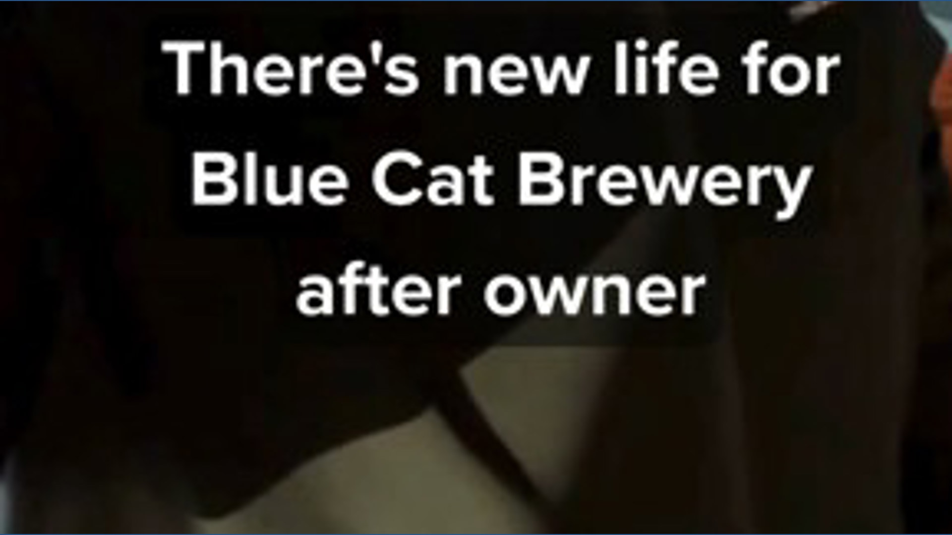 Blue Cat Brewing Company bought by RIBCO owner