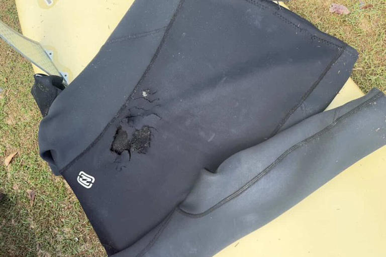 ‘Extremely fortunate’: Surfer escapes shark attack on Mid North Coast