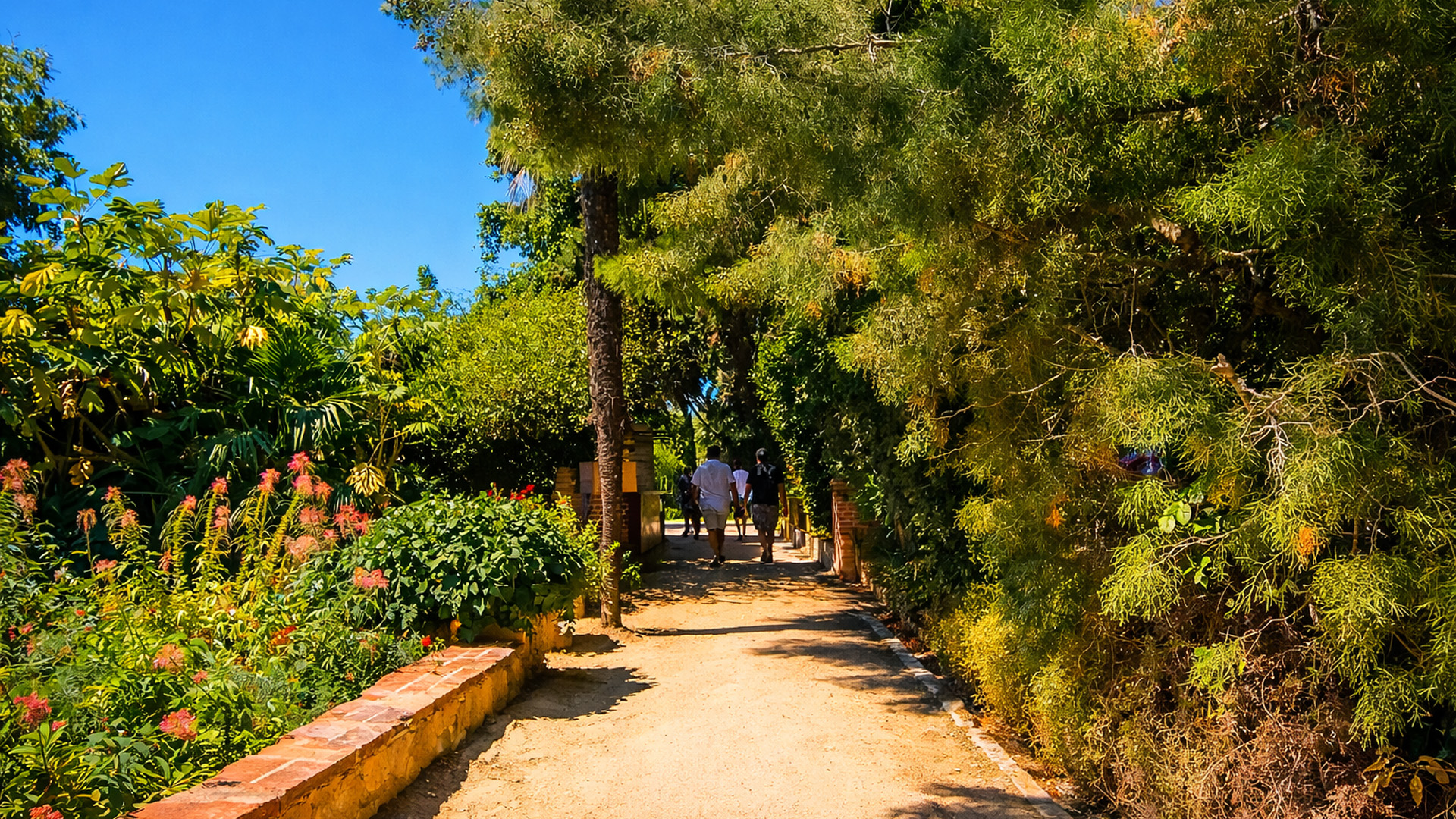 A relaxing walk through a coastal botanical garden