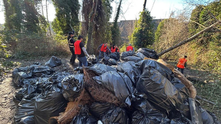 Volunteers, including former homeless, clean up Seattle greenbelt for ...