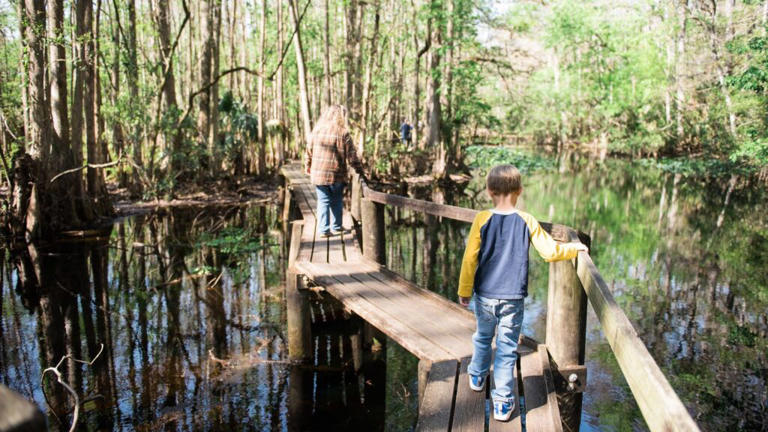 10 best Florida state parks to visit on your family vacation