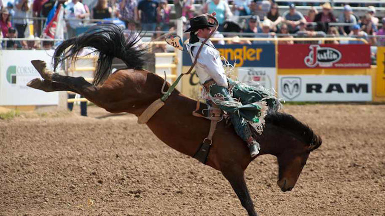 2025 NFR average champion keeps momentum rolling in NWSS bracket four