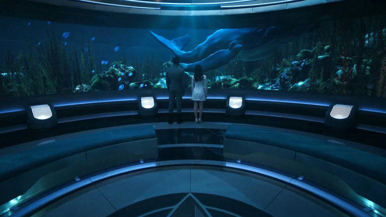 Star Trek: Starfleet Academy continues franchise's 40-year love affair ...