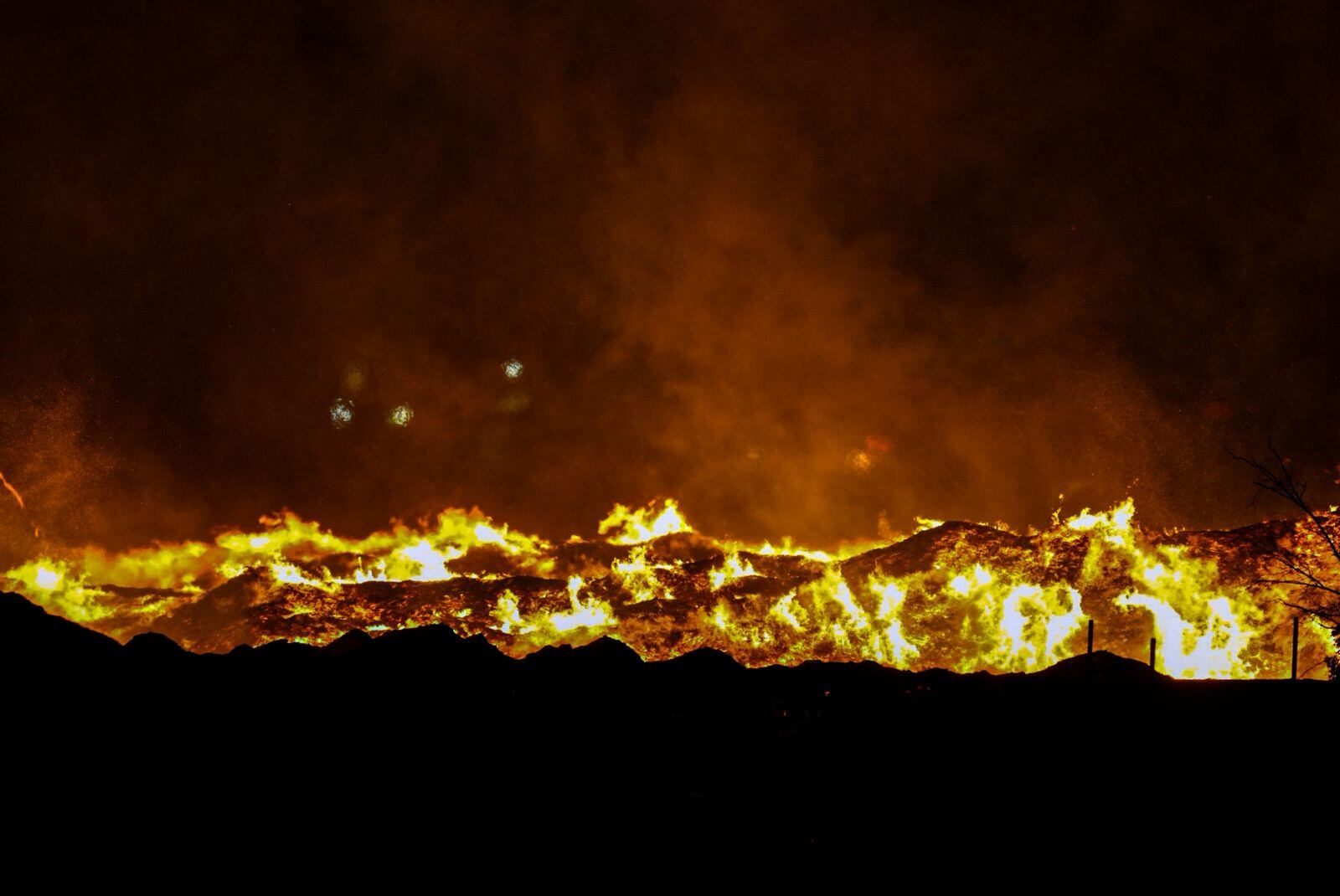 Solicitan recursos para restauración ambiental tras incendios en Baja ...