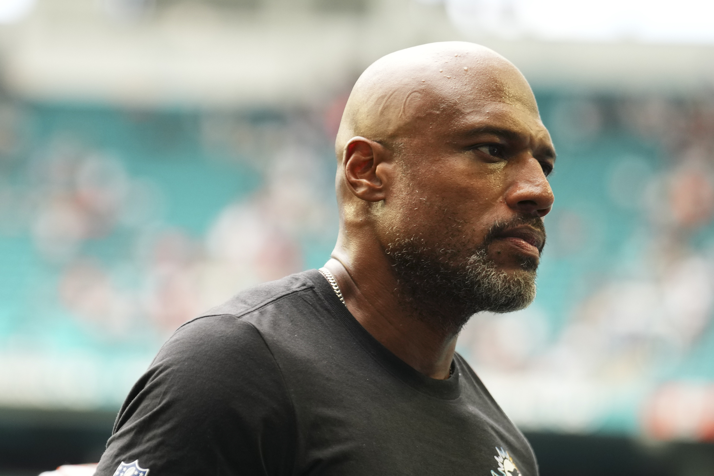 Breaking down the pros, cons of the Steelers' coaching candidates