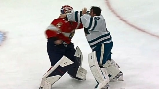 ‘Goalie fight’: What happened between Sharks’ Alex Nedeljkovic and ...