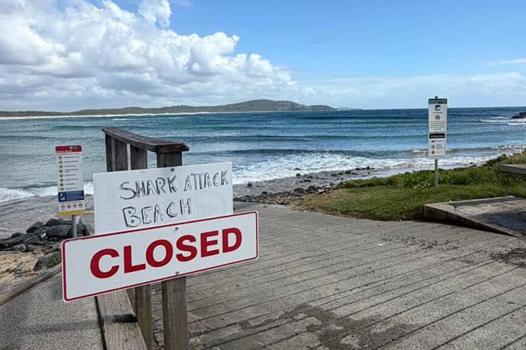 ‘Extremely fortunate’: Surfer escapes shark attack on Mid North Coast