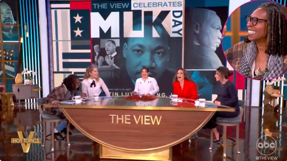 'The View' co-hosts crack up on live episode after audience member ...
