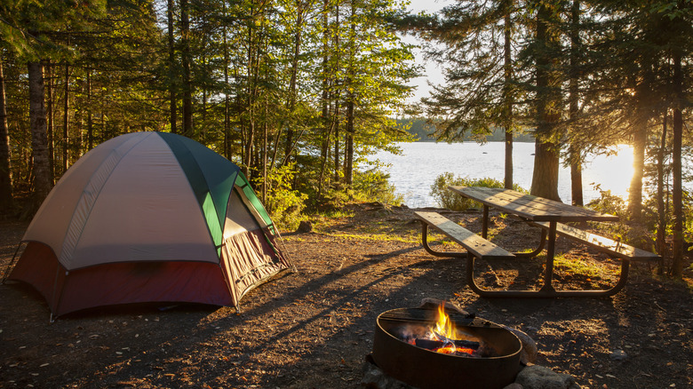5 camping essentials you'll always wish you brought more of