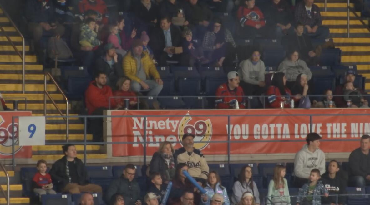 Springfield Thunderbirds host their 'Kids Takeover' game