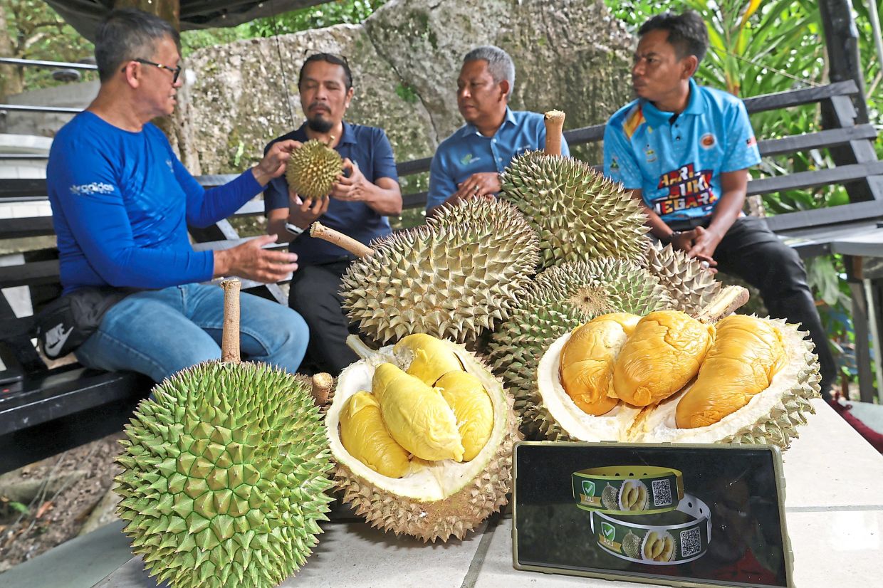 ‘Knowledge is power when buying durian’