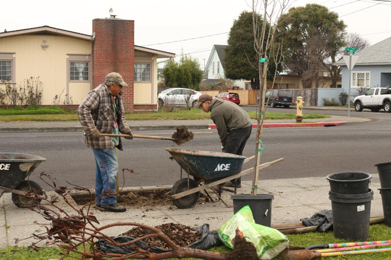 Cal Poly Humboldt students mobilize on Martin Luther King Jr. Day